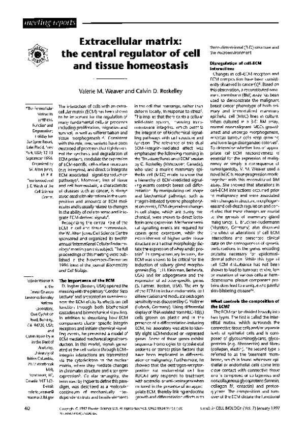 (PDF) Extracellular matrix: the central regulator of cell and tissue homeostasis