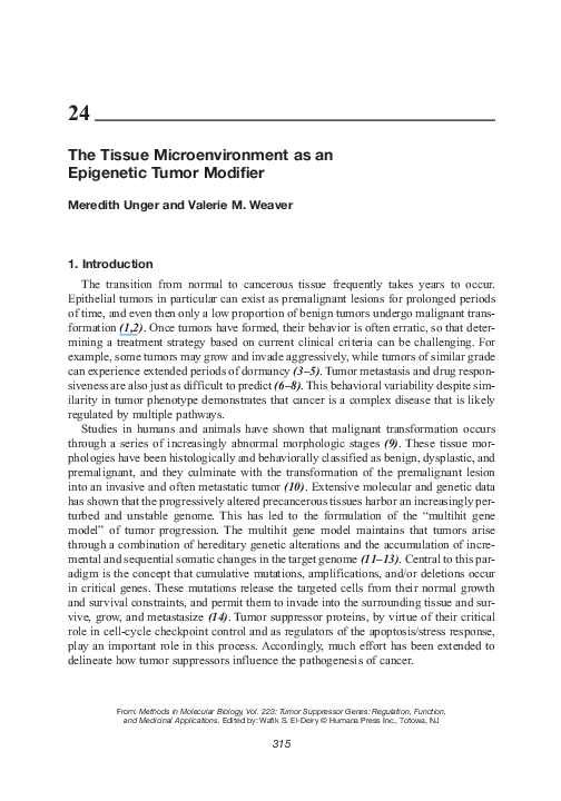 (PDF) The Tissue Microenvironment as an Epigenetic Tumor Modifier