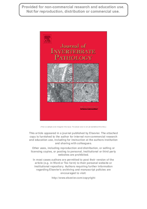 (PDF) Perkinsus sp. infecting oyster Crassostrea rhizophorae (Guilding ...