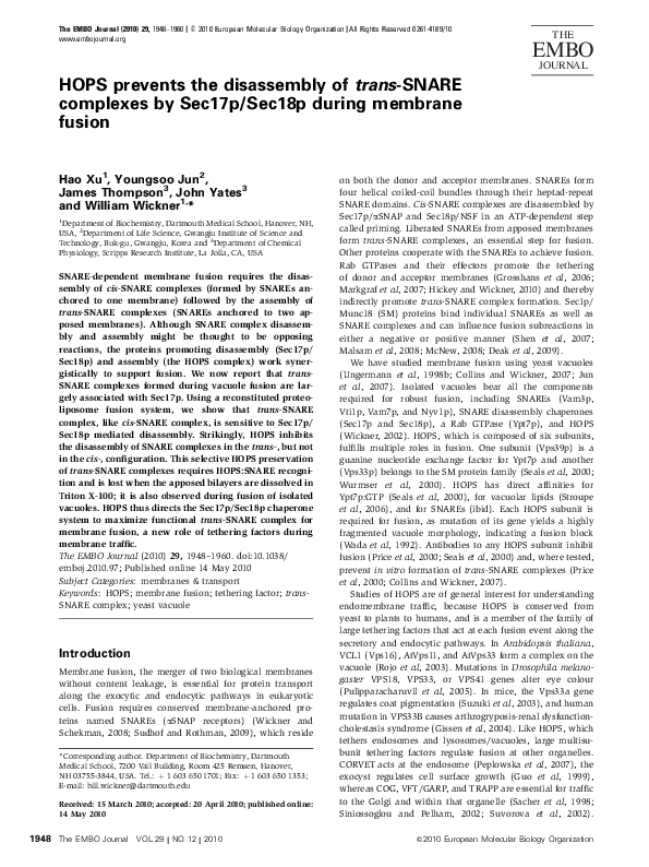(PDF) HOPS prevents the disassembly of trans-SNARE complexes by Sec17p ...