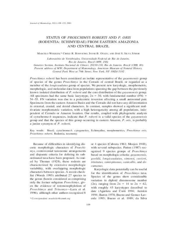(PDF) STATUS OF PROECHIMYS ROBERTI AND P. ORIS (RODENTIA: ECHIMYIDAE ...