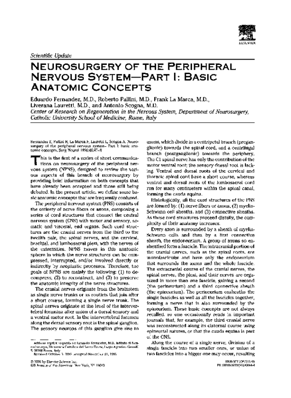 (PDF) Neurosurgery of the peripheral nervous system—Part I: Basic ...