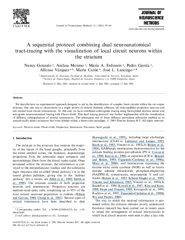 Pdf A Sequential Protocol Combining Dual Neuroanatomical Tract Tracing With The Visualization