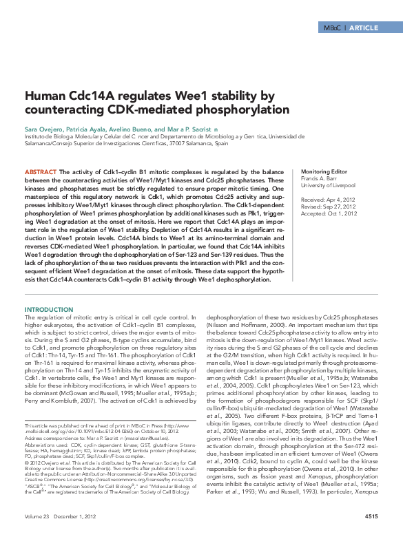 (PDF) Human Cdc14A regulates Wee1 stability by counteracting CDK ...