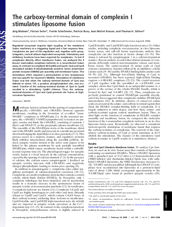 (PDF) The carboxy-terminal domain of complexin I stimulates liposome ...