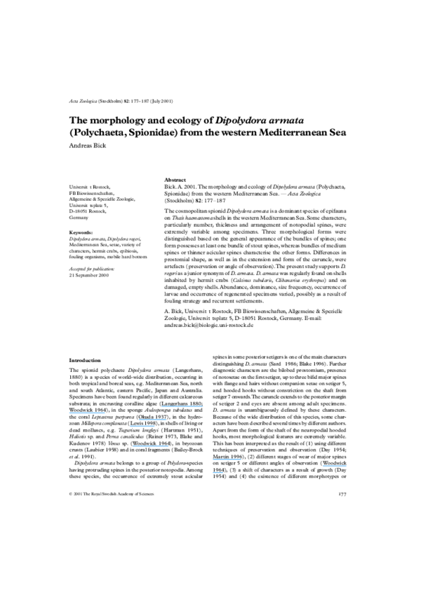 (PDF) The morphology and ecology of Dipolydora armata (Polychaeta ...
