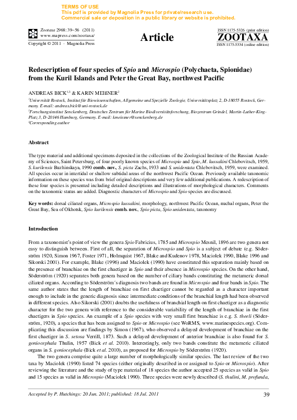 (PDF) Redescription of four species of Spio and Microspio (Polychaeta ...