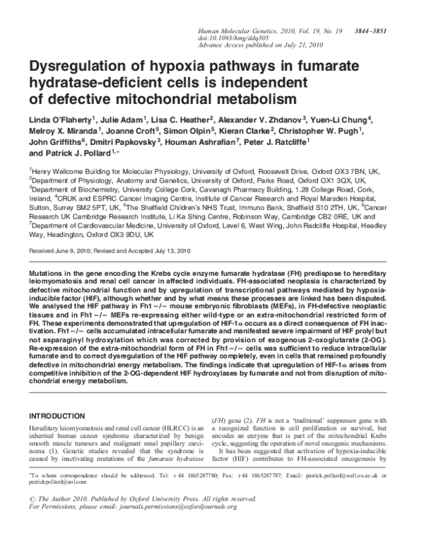 (PDF) Dysregulation of hypoxia pathways in fumarate hydratase-deficient ...
