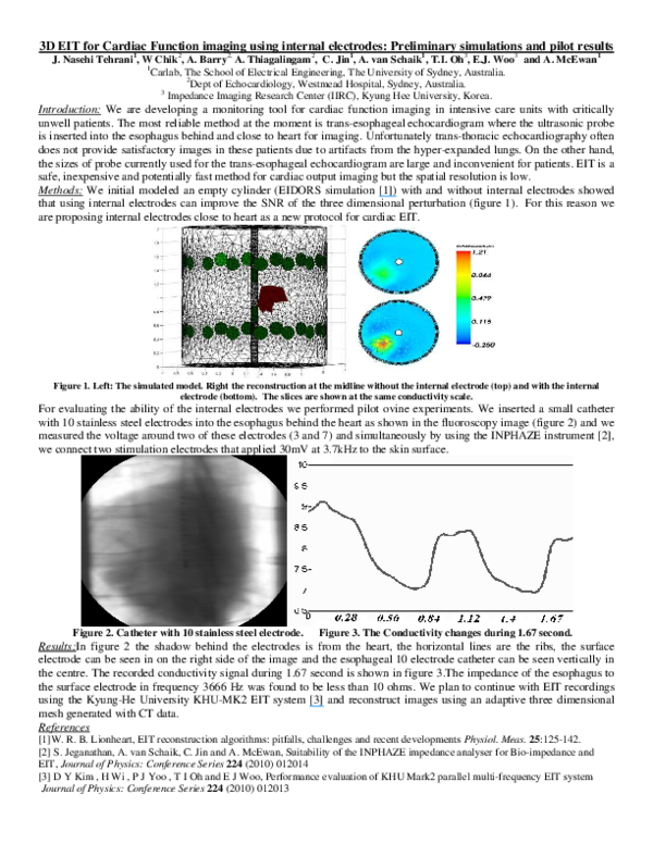 (PDF) 3D EIT for Cardiac Function imaging using internal electrodes ...