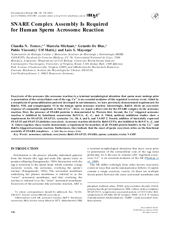 (PDF) SNARE complex assembly is required for human sperm acrosome reaction