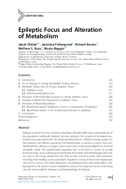 (PDF) Epileptic focus and alteration of metabolism