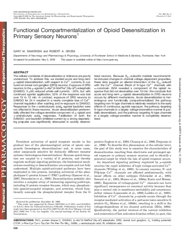 (PDF) Functional Compartmentalization of Opioid Desensitization in ...