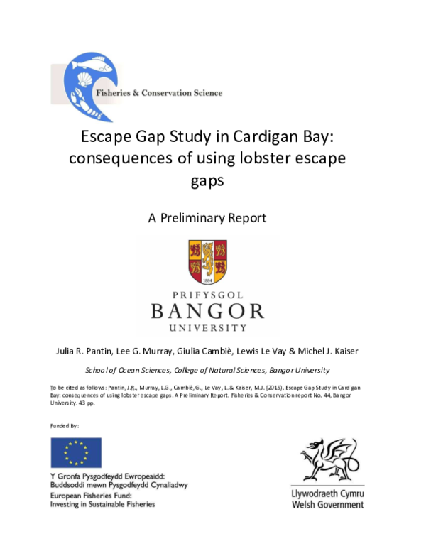(PDF) Escape Gap Study in Cardigan Bay: consequences of using lobster ...