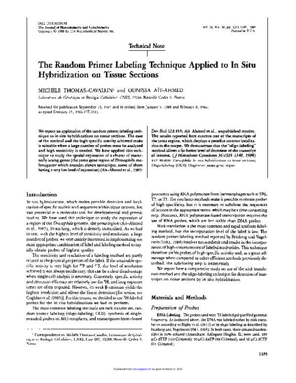 (PDF) The Random Primer Labeling Technique Applied to In Situ ...