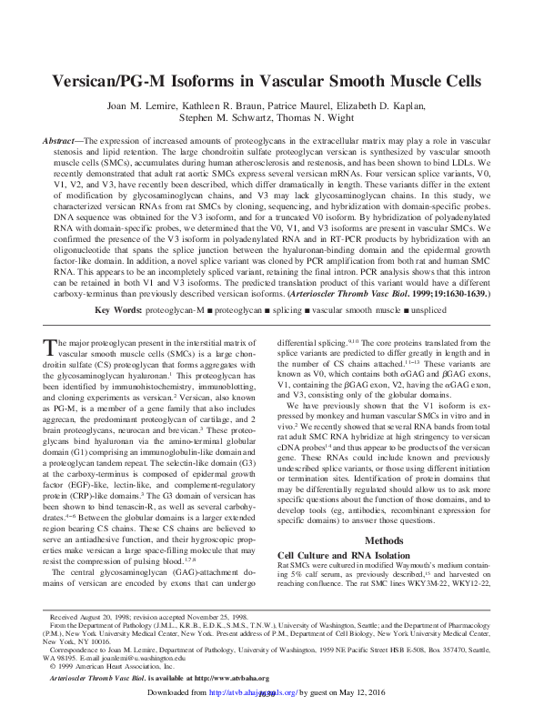 (PDF) Versican/PG-M Isoforms in Vascular Smooth Muscle Cells