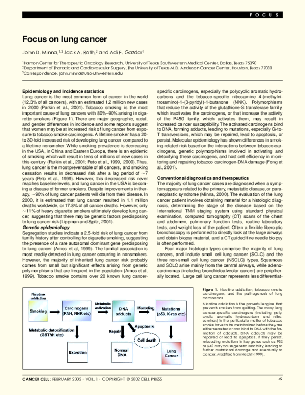 (PDF) Focus on lung cancer