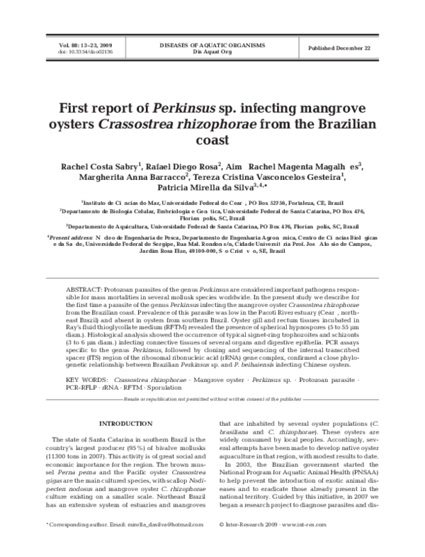 (PDF) First report of Perkinsus sp. infecting mangrove oysters ...