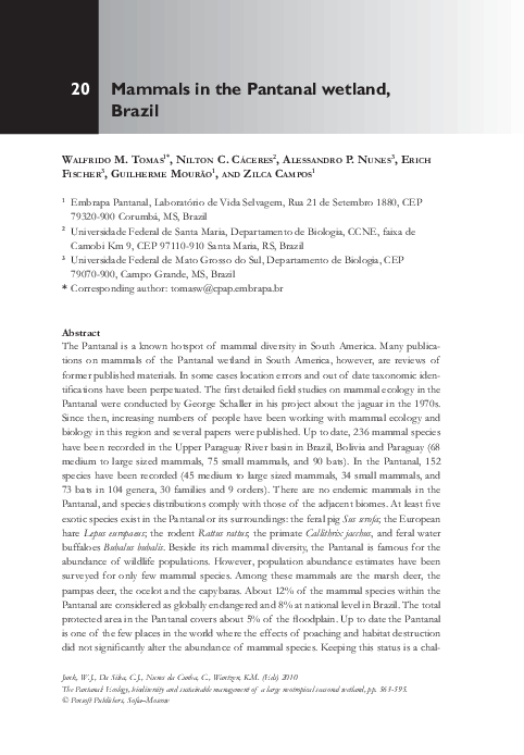 (PDF) Mammals in the Pantanal wetland, Brazil