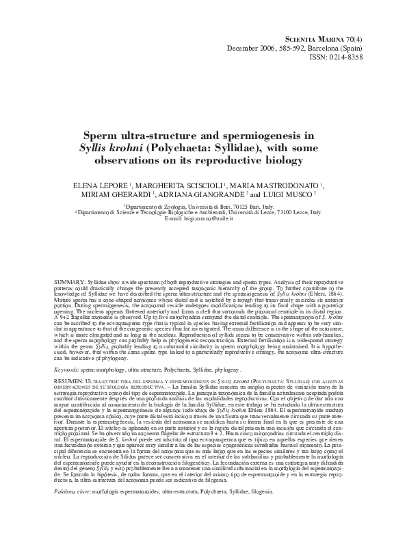 (PDF) Sperm ultra-structure and spermiogenesis in Syllis krohni ...