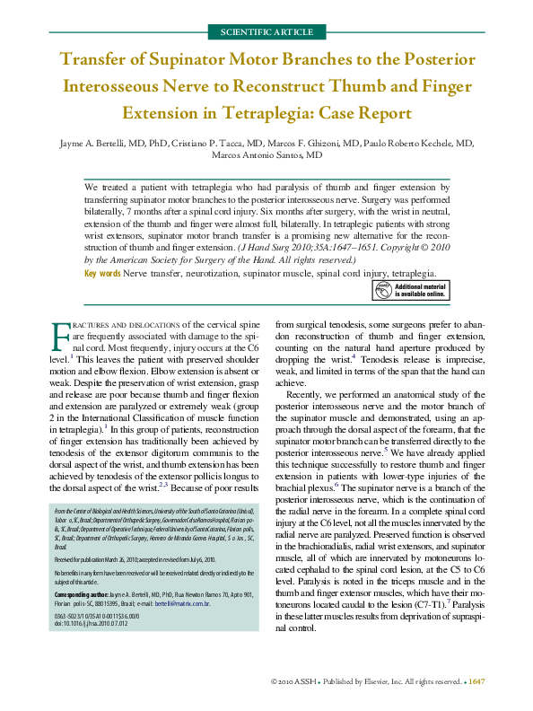 (PDF) Transfer of Supinator Motor Branches to the Posterior ...
