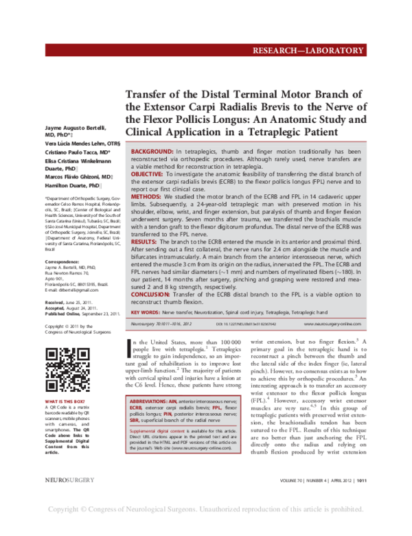 (PDF) Transfer of the Distal Terminal Motor Branch of the Extensor ...