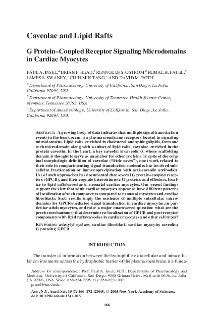 (PDF) Caveolae and Lipid Rafts: G Protein-Coupled Receptor Signaling ...