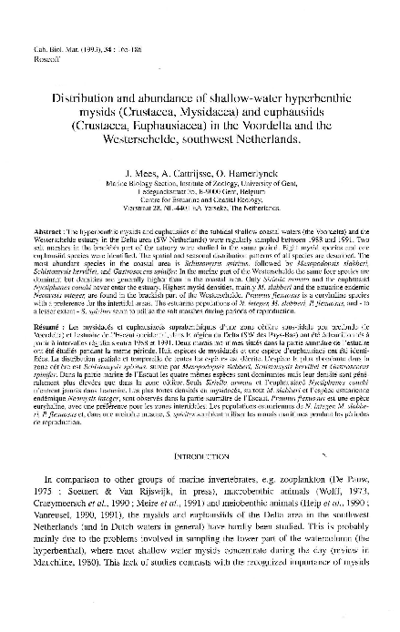 (PDF) Hyperbenthic Mysidae Haworth, 1825 (Peracarida, Mysida) from the ...