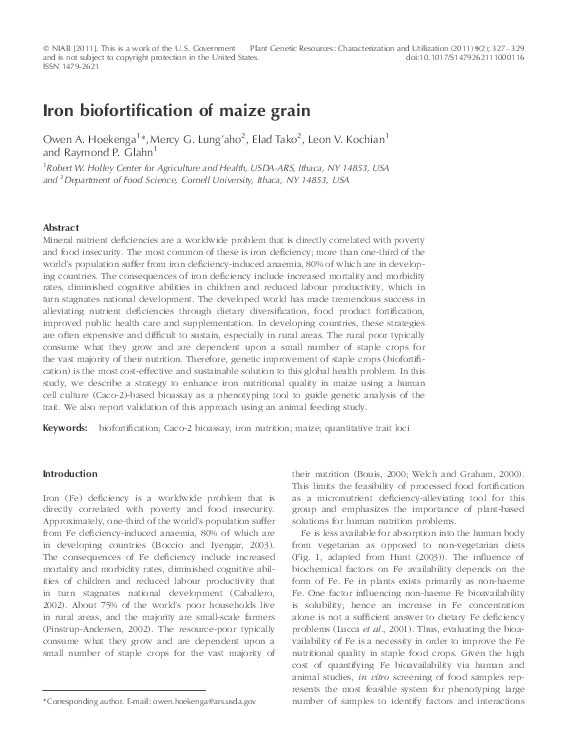 (PDF) Iron biofortification of maize grain