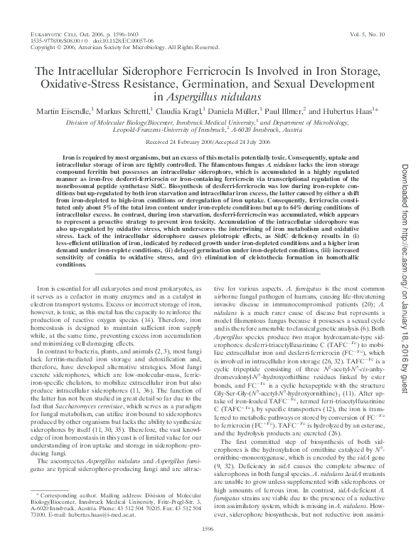 (PDF) Ferricrocin's Role in Iron Balance in A. nidulans