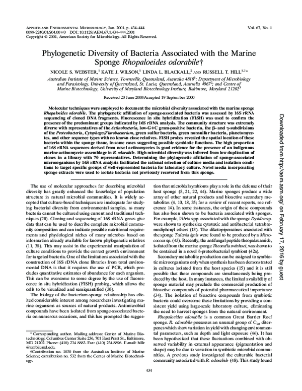 (PDF) Phylogenetic diversity of bacteria associated with the mucus of Red Sea corals