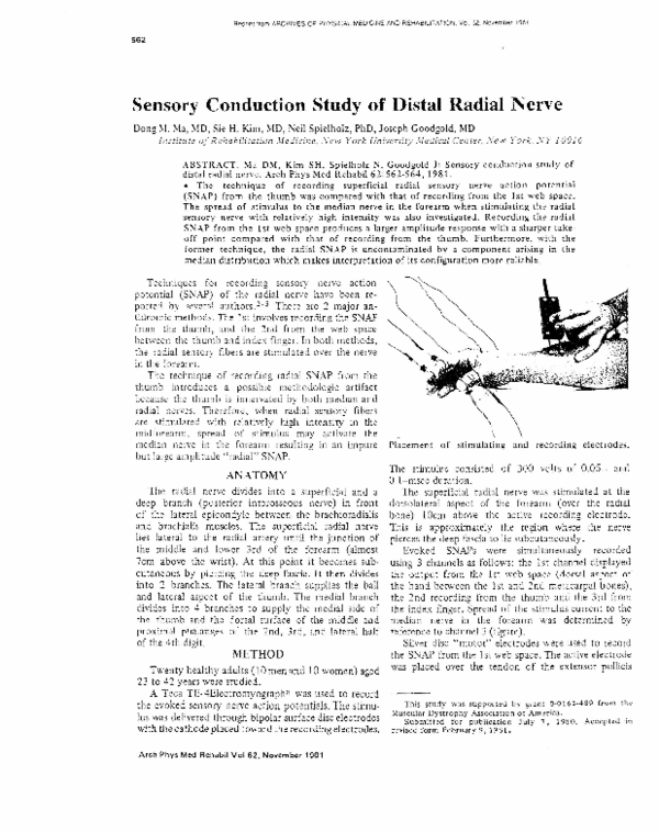 (PDF) Sensory nerve action potentials in the radial nerve