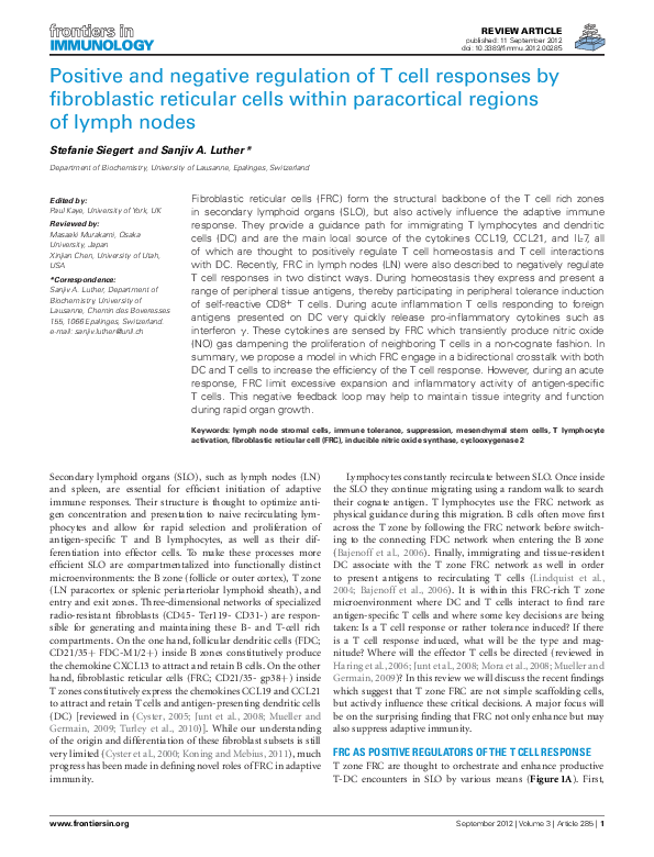 (PDF) Positive and negative regulation of T cell responses by fibroblastic reticular cells ...