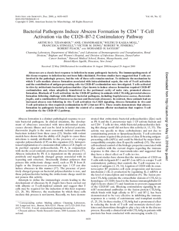 (PDF) Bacterial Pathogens Induce Abscess Formation by CD4+ T-Cell ...