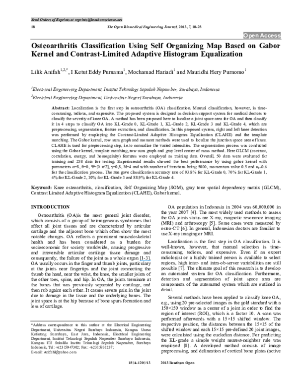 (PDF) Osteoarthritis Classification Using Self Organizing Map Based on Gabor Kernel and Contrast ...