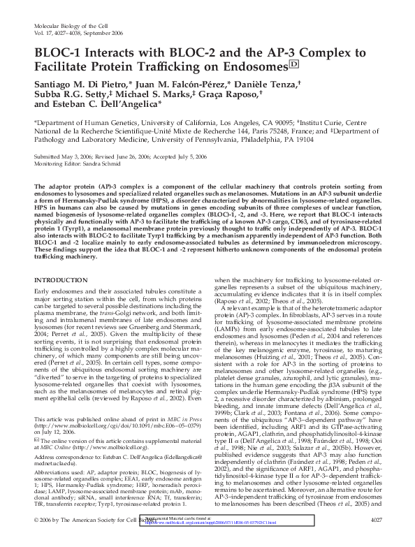 (PDF) BLOC-1 interacts with BLOC-2 and the AP-3 complex to facilitate ...