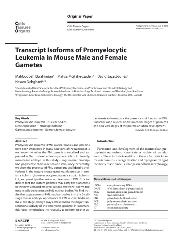 Pdf Transcript Isoforms Of Promyelocytic Leukemia In Mouse Male And Female Gametes
