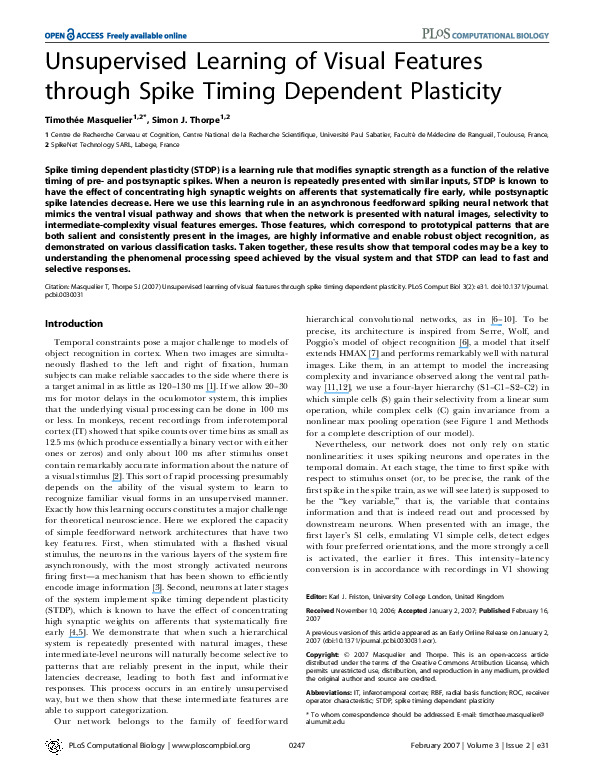 (PDF) Unsupervised learning of visual features through Spike Timing Dependent Plasticity