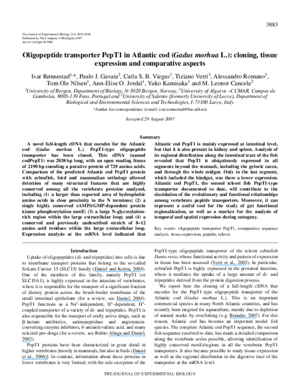 (PDF) Oligopeptide transporter PepT1 in Atlantic cod (Gadus morhua L ...