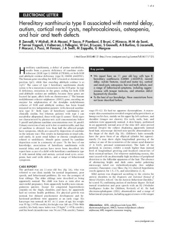 (PDF) Hereditary xanthinuria type II associated with mental delay ...