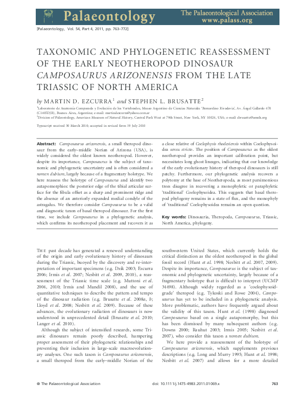 (PDF) Taxonomic and phylogenetic reassessment of the early neotheropod ...