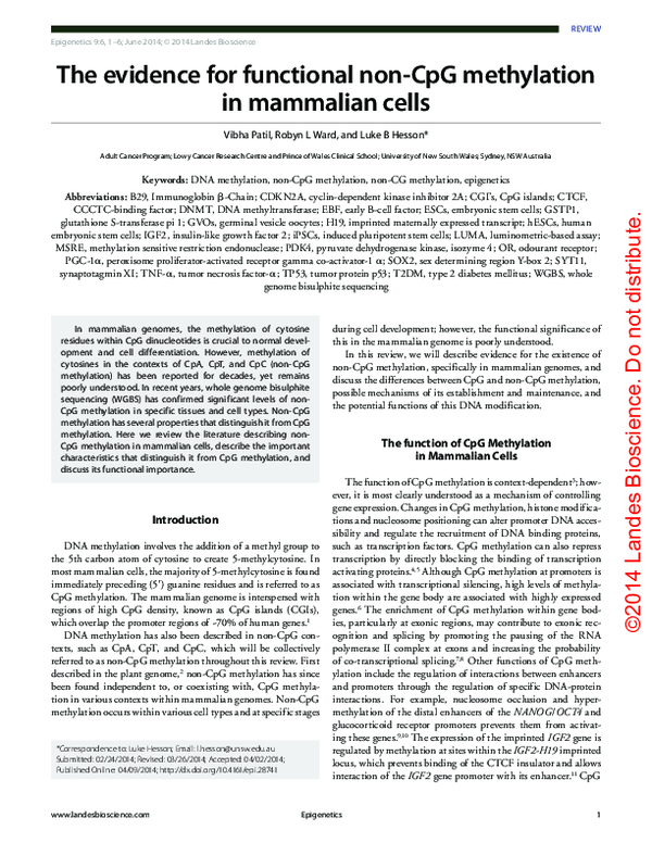 (PDF) The evidence for functional non-CpG methylation in mammalian cells