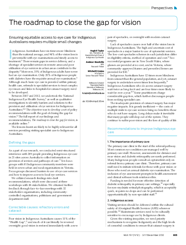 (PDF) The roadmap to close the gap for vision