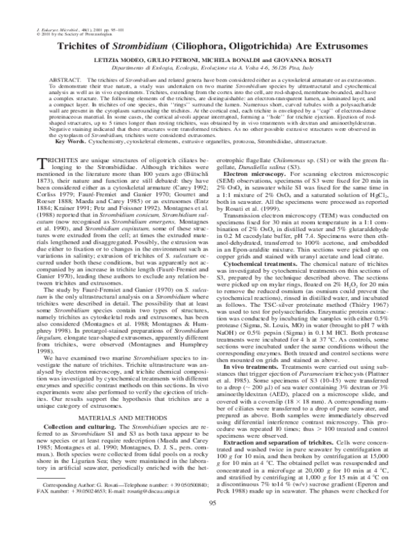 (PDF) Trichites of Strombidium (Ciliophora, Oligotrichida) are extrusomes