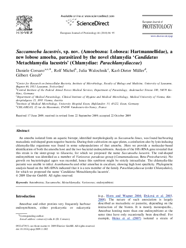(PDF) Saccamoeba lacustris, sp. nov. (Amoebozoa: Lobosea ...