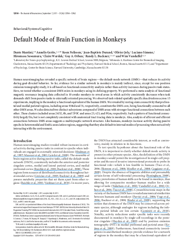 (PDF) Default Mode of Brain Function in Monkeys