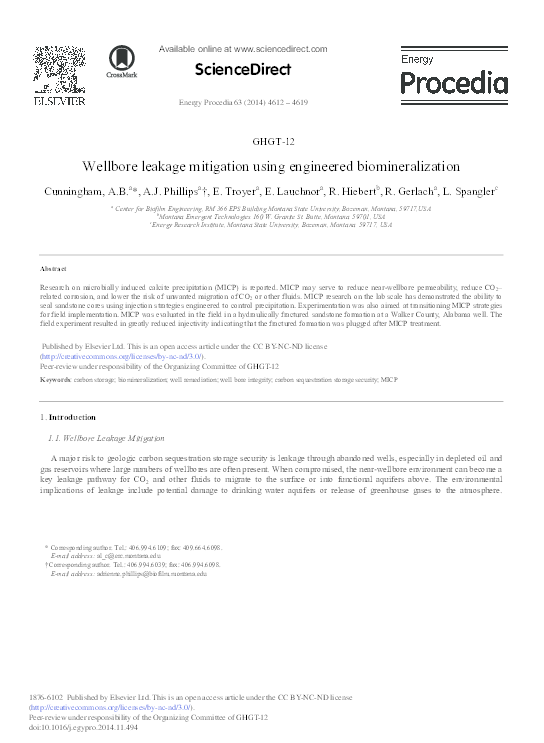 (PDF) Wellbore leakage mitigation using engineered biomineralization