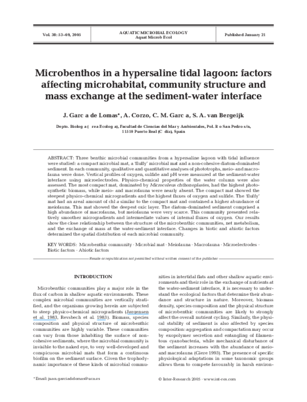 (PDF) Microbenthos in a hypersaline tidal lagoon: factors affecting ...