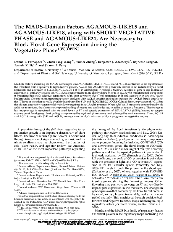 (PDF) The MADS-Domain Factors AGAMOUS-LIKE15 and AGAMOUS-LIKE18, along ...