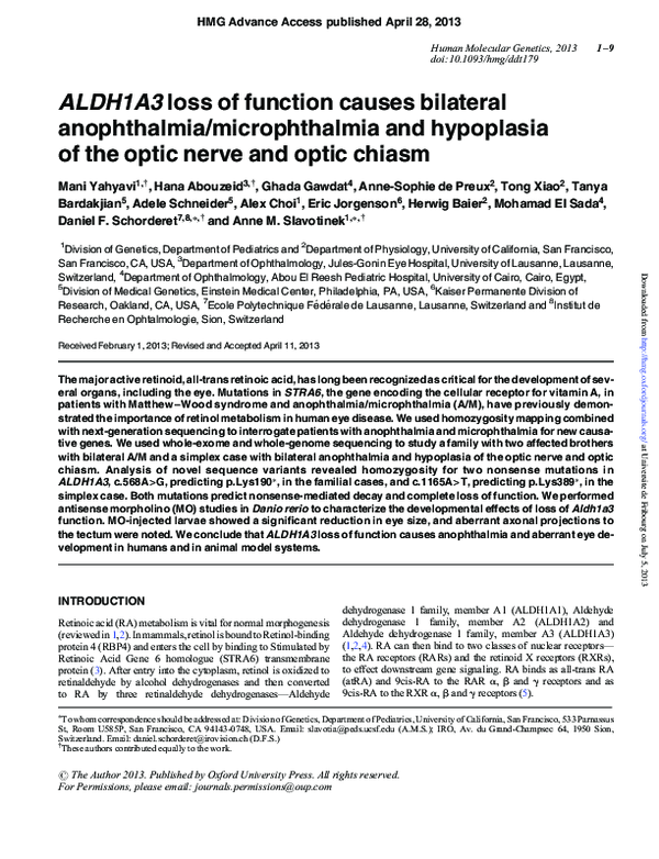 (PDF) ALDH1A3 loss of function causes bilateral anophthalmia ...