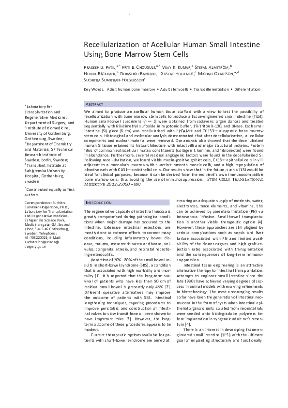 (PDF) Recellularization of acellular human small intestine using bone ...